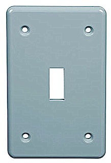 Carlon E98STSCR 1-Gang Fs-Bx Switch Receptavle Cover Grey | Gordon ...