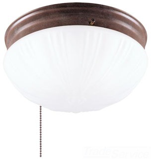 WESTINGHOUSE 6720200 2-LT INDR FLS-MNT CEILG FXTR W/PULLCHAIN | Gordon ...