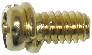 WESTINGHOUSE 7704700 10 PIECE BRASS MOTOR SCREW KIT | Gordon Electric ...