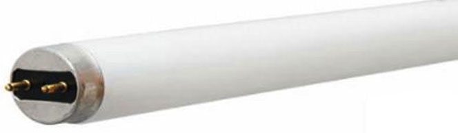 GE 45756 F25T8/SP41/ECO Fluorescent Lamp | Gordon Electric Supply, Inc.
