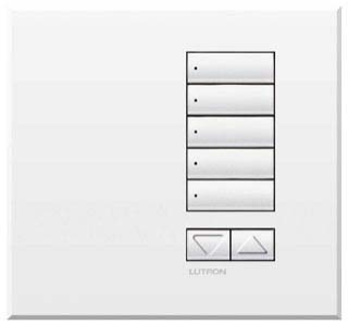 LUTRON QSWE-5BRLN-AW QSWE-WALLSTN 5BRL N/INS AW | Gordon Electric ...