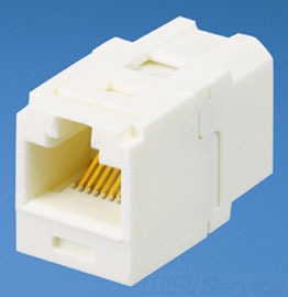 Panduit CC5E88IW Mini-Com Coupler Module Cat 5E Utp Of | Gordon ...