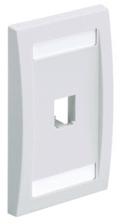 Panduit CFPE1WHY Faceplate, 1 Port, Single Gang, Executiv | Gordon ...