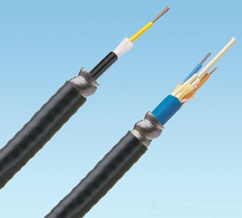 Panduit FSMP996Y 9Um Os2 96 Fiber Indoor-Outdoor Armored | Gordon ...
