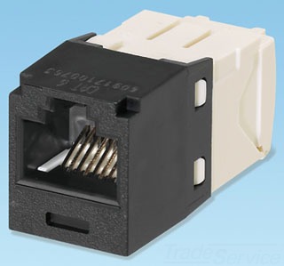 Panduit CJ688TGBL-C Mini-Com Module Cat 6 Utp 8 Pos 8 Wir | Gordon ...