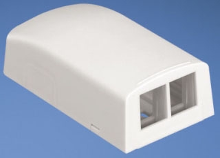 Panduit NK2BXWH-A NetKey 2-Port Surface Mount Box White | Gordon ...