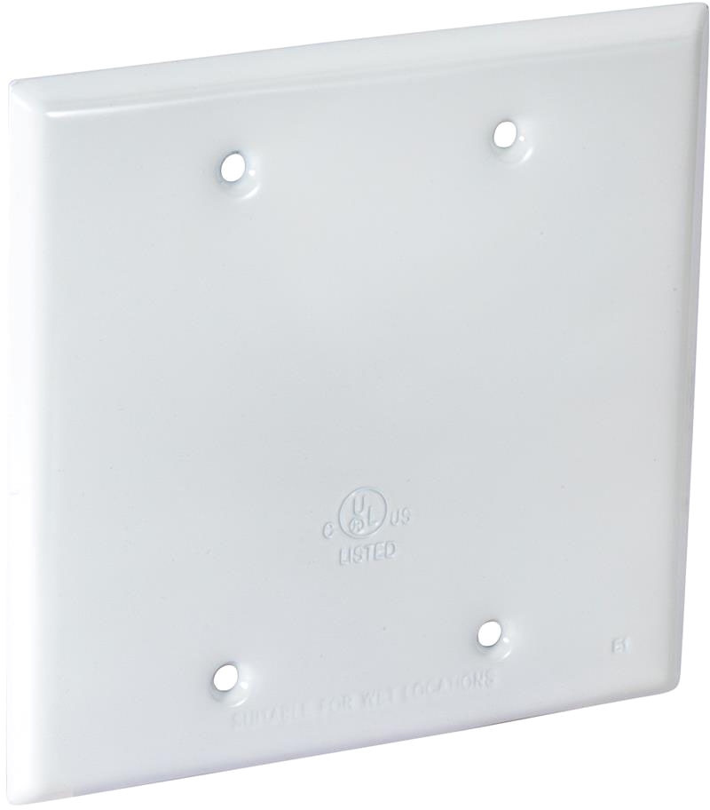 TOPAZ WC2BW 2-GANG BLANK WP COVER WHITE 100PK | Gordon Electric Supply ...